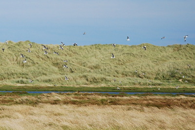 St Combs to Rattray Head
