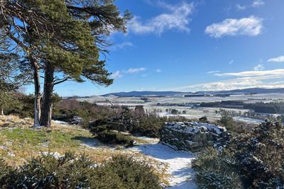 Craigfall Trail, Leith Hall