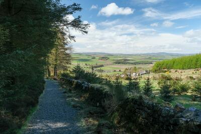 The Tappie Tower, Kirkhill Forest