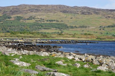 Taynish National Nature Reserve, near Tayvallich