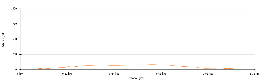 Glasdrum Wood, Loch Creran