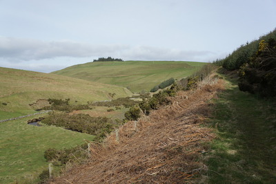 Borders Abbeys Way: Hawick to Selkirk