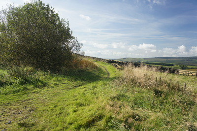 Cross Border Trail, Newcastleton