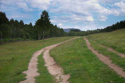 Badenoch Way