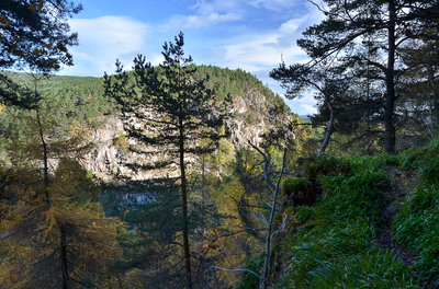 Craigendarroch oakwoods, Ballater