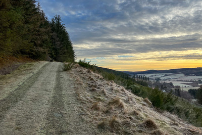 Bellabeg forest walk, Strathdon