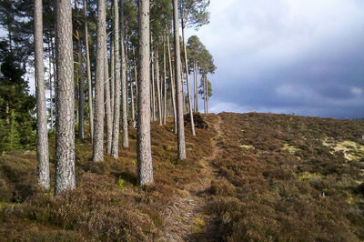 Inverlair to Feagour