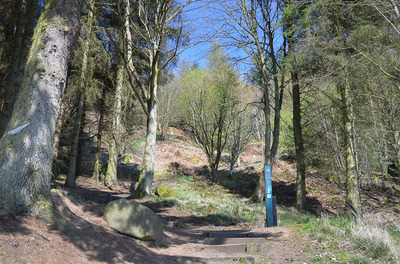 Benarty Hill, near Ballingry (Walkhighlands)