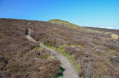 Benarty Hill, near Ballingry (Walkhighlands)