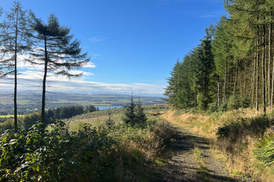 Benarty Hill, near Ballingry (Walkhighlands)