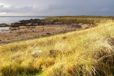 Fife Coastal Path 5: Lower Largo to St Monans