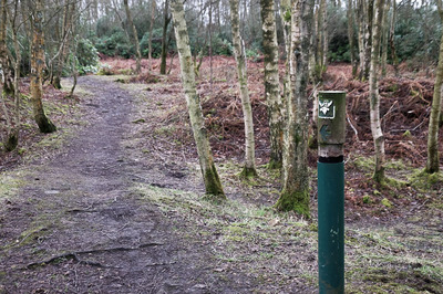 Plean Country Park, Plean