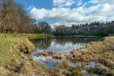 Callendar Park and House, Falkirk
