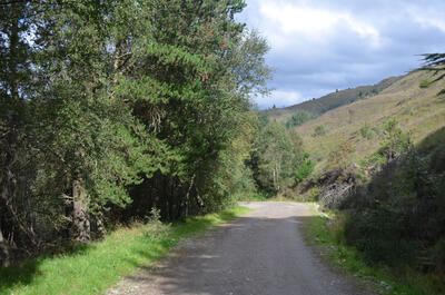Inchree Falls, near Onich
