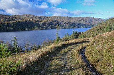 Loch Shiel viewpoints walk, Polloch