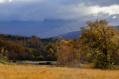 Fassfern Forest walks