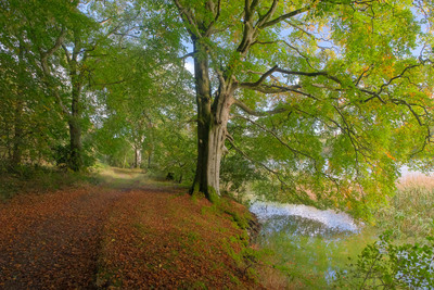 Monreith Estate, near Port William
