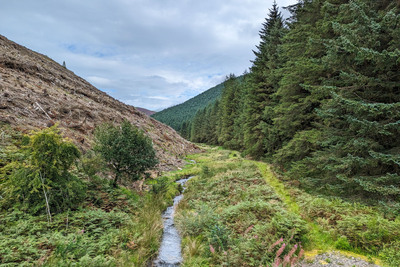 Southern Upland Way 7: Beattock to St Mary's Loch (Walkhighlands)