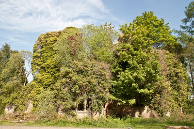 Lockerbie to Hoddom Castle (Walkhighlands)