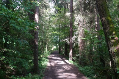 Chatelherault Country Park, near Hamilton