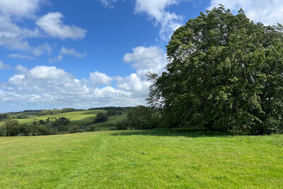 Spectacle E'e falls circular, Strathaven