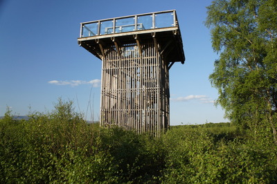 Flanders Moss National Nature Reserve, near Kippen (Walkhighlands)