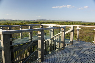 Flanders Moss National Nature Reserve, near Kippen (Walkhighlands)