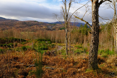 Contin Forest & View Rock circuit, near Contin