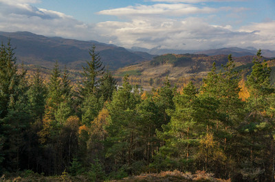Contin Forest & View Rock circuit, near Contin