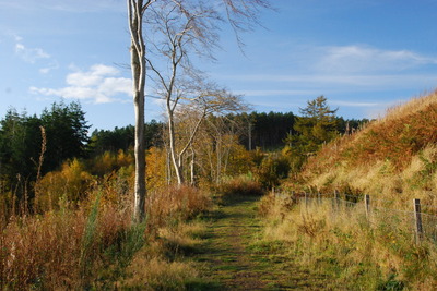 Ormond Castle, Avoch