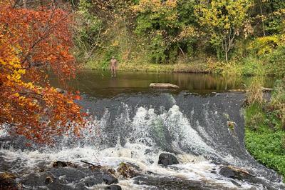 Water of Leith: Slateford to Leith