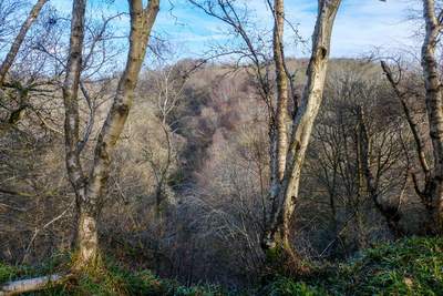 Calderwood, near Livingston