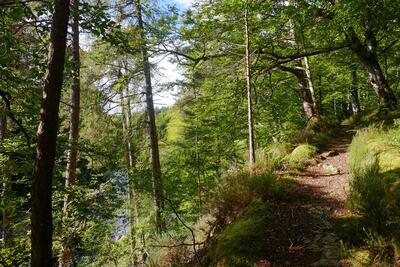 Dunearn Burn & the Findhorn, Darnaway Forest