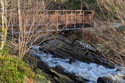 Loch Rannoch Forest walk