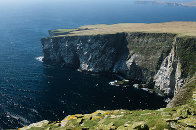 Island of Noss National Nature Reserve