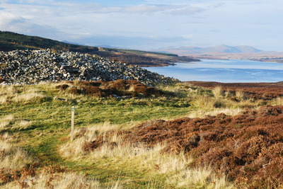 Ferry Wood and the Ord, Lairg