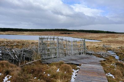 Forsinain Trail, Strath Halladale (Walkhighlands)