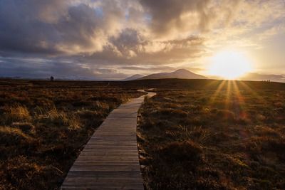 Forsinard Flows and Tower, Forsinard